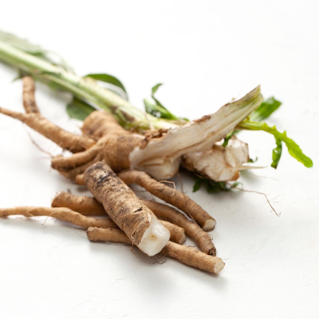 Discover Chicory Root fiber with Sabashi